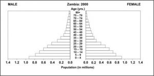 Pyramid Graph: Definition & Examples - Statistics How To