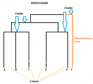 Hierarchical Clustering / Dendrogram: Simple Definition, Examples ...